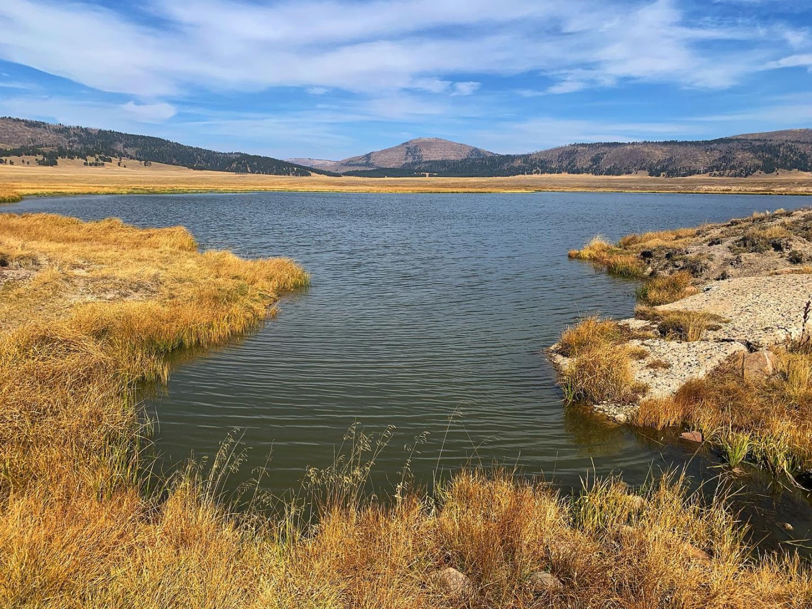 Hike the Pond Trail: Embracing the Natural Splendor of Valles Caldera ...