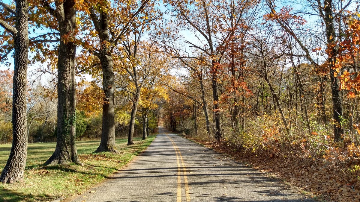 Bicycles in Pea Ridge National Park (U.S. National Park Service)