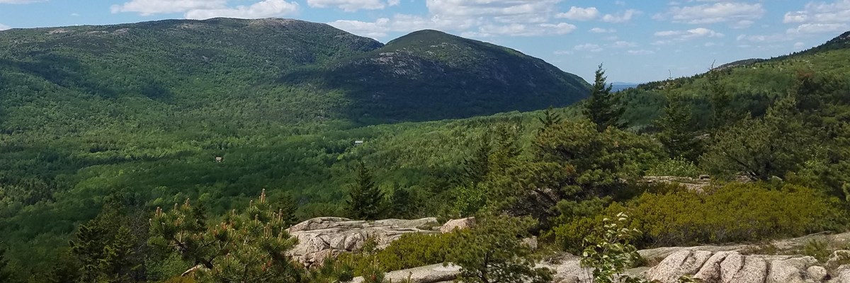Hike Gorham Mountain Loop (U.S. National Park Service)
