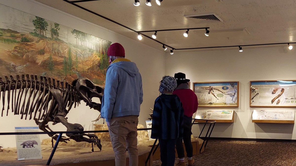 Explore at the Paleo Exhibits at Rainbow Forest Museum (U.S. National ...