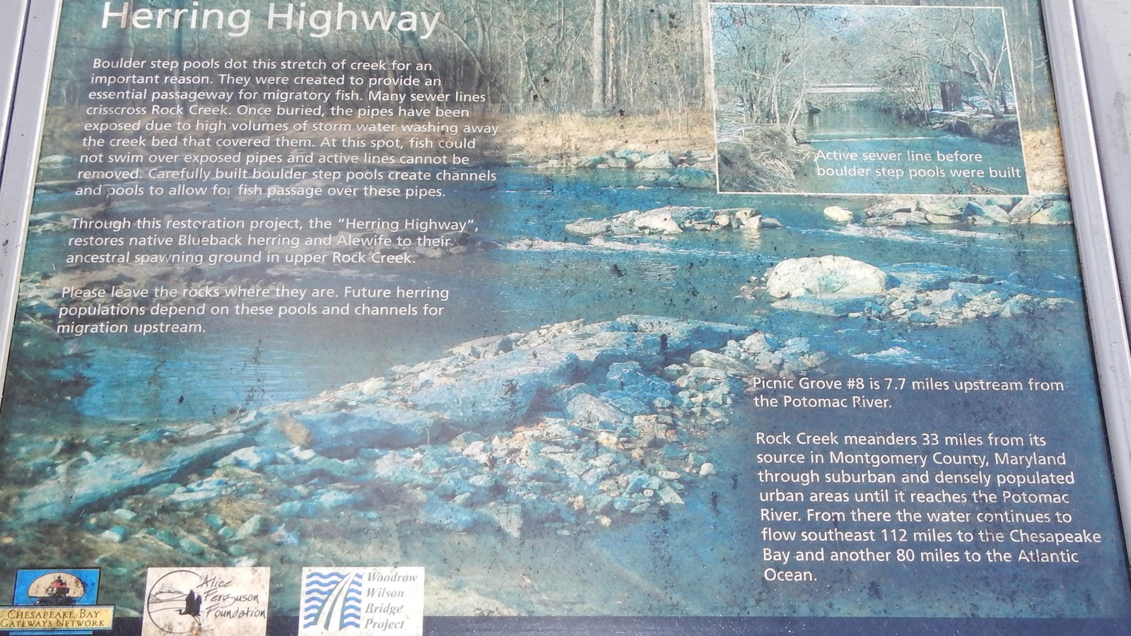Information Panel: "Herring Highway"- Picnic Grove 8 (U.S. National ...