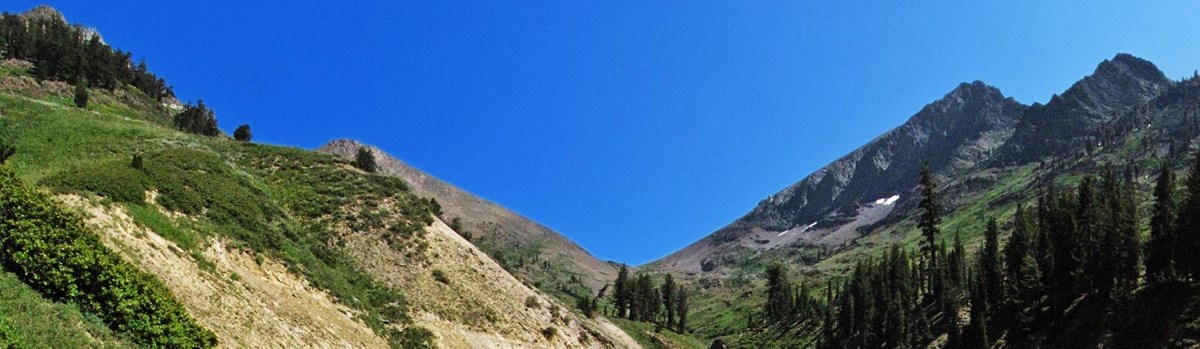 Explore Sub-Alpine Landscapes at Mineral King (U.S. National Park Service)