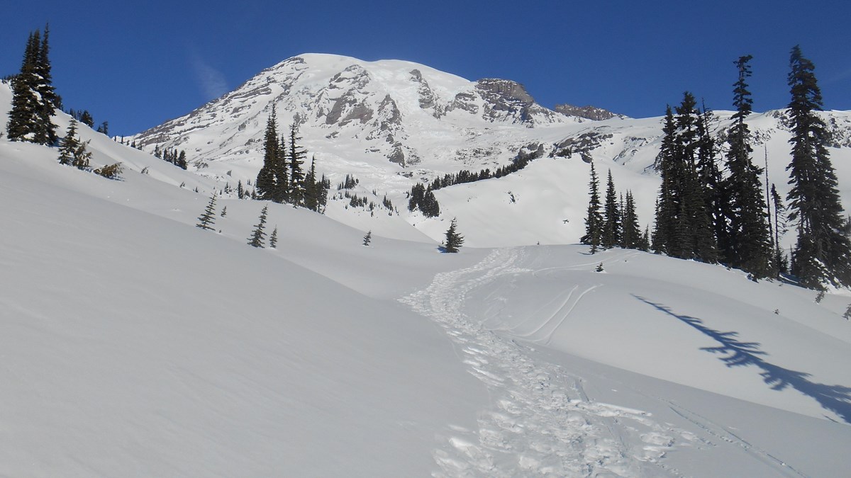 Beginner's Guide to Snowshoeing (U.S. National Park Service)