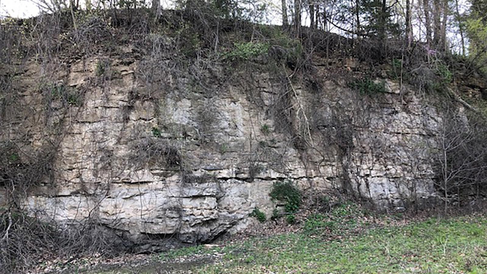 Arrow Rock Bluff (U.S. National Park Service)