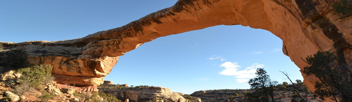 Hike to Owachomo Bridge (U.S. National Park Service)