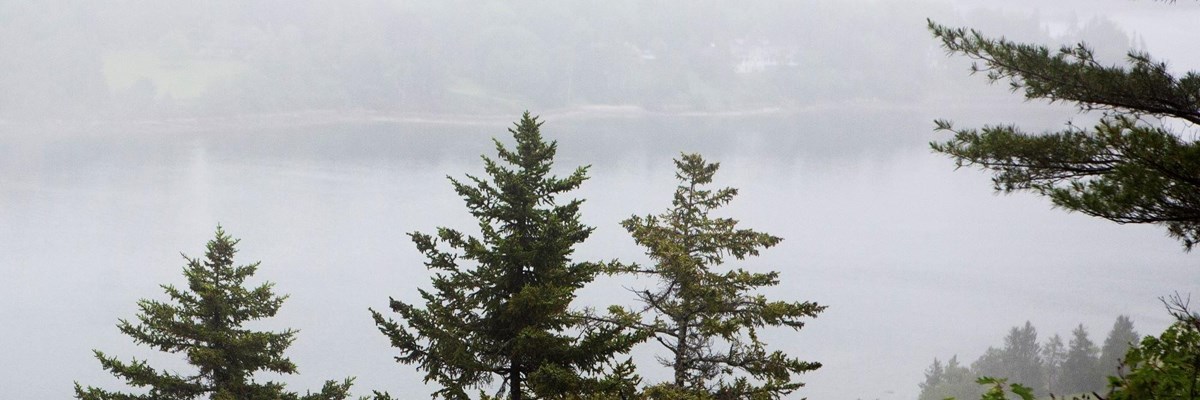 Hike Flying Mountain Loop (U.S. National Park Service)