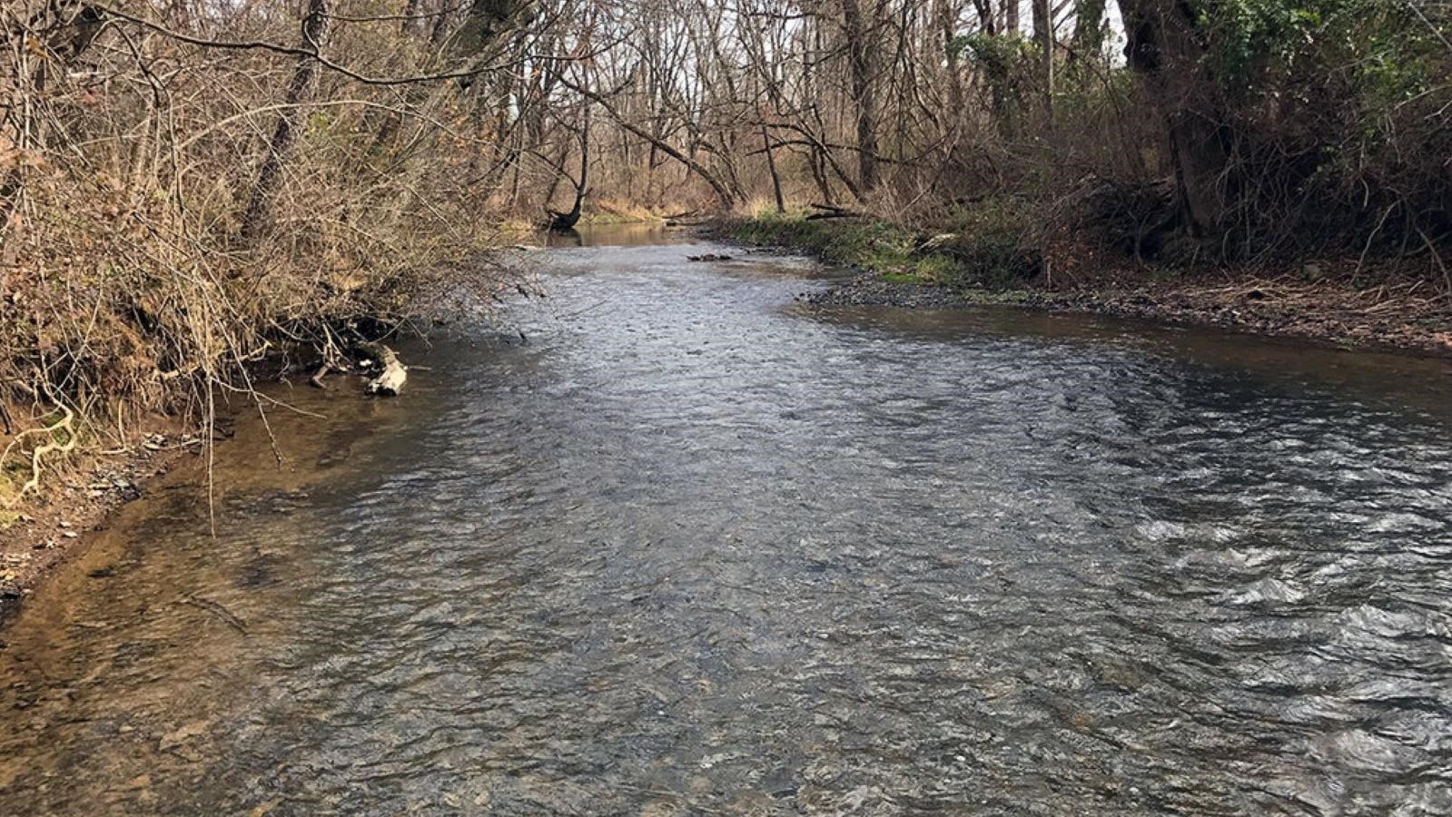 Codorus Creek (U.S. National Park Service)