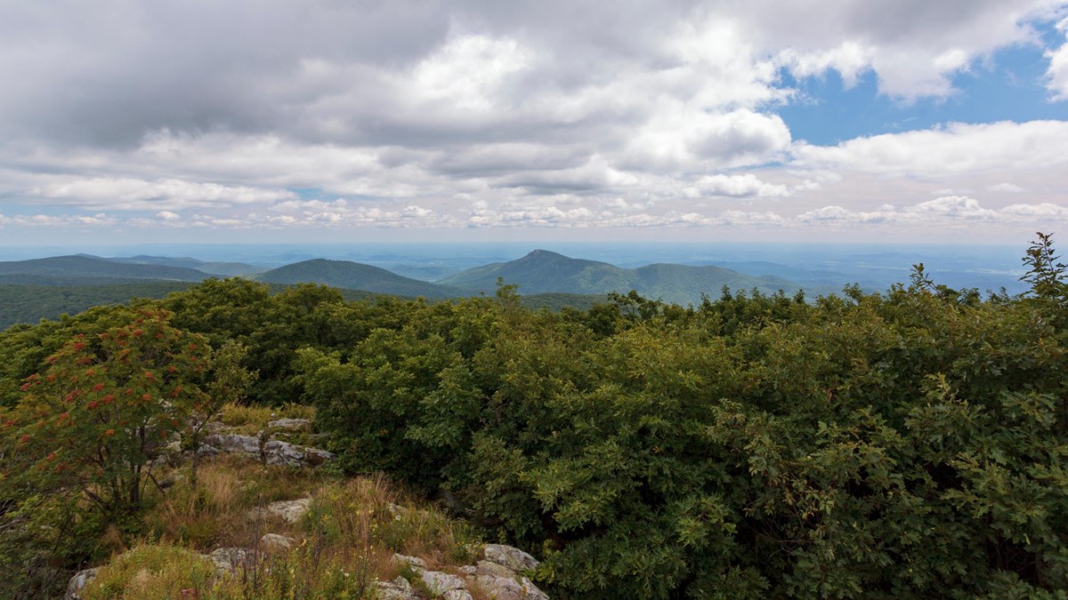 Hawksbill Loop (U.S. National Park Service)