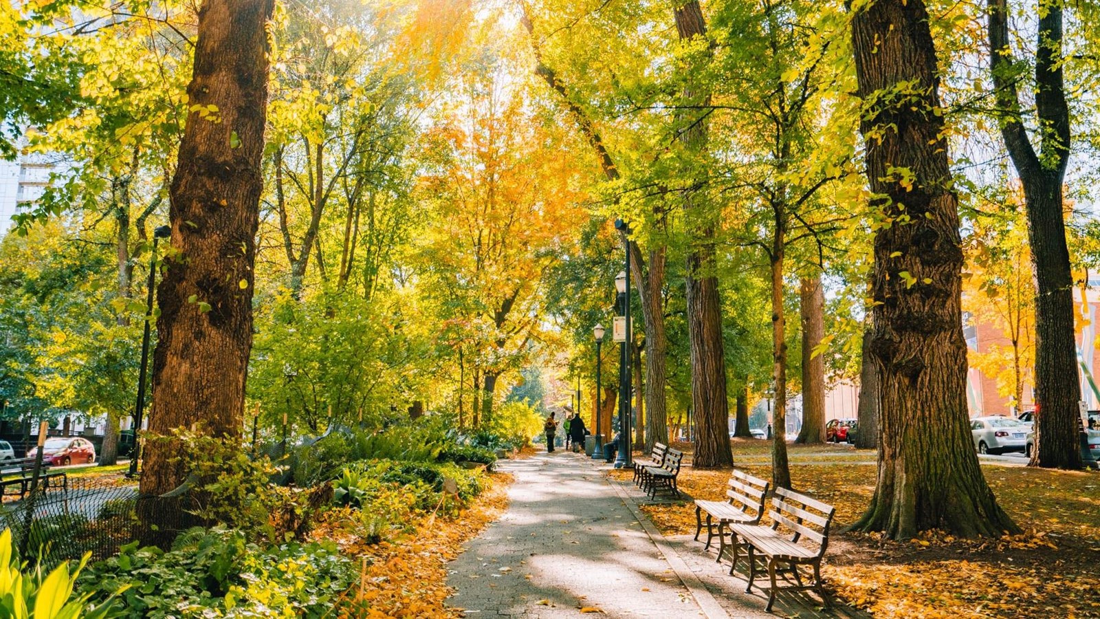 Portland Park System (U.S. National Park Service)