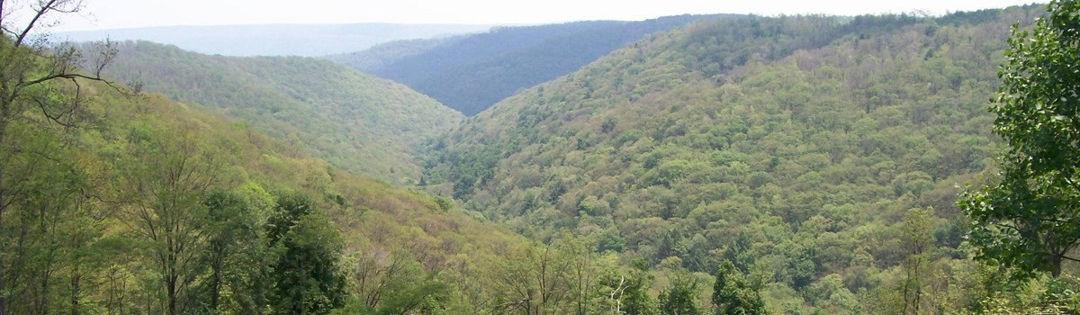 Hike the Monroe Run Trail and Meadow Mountain Trail (U.S. National Park ...