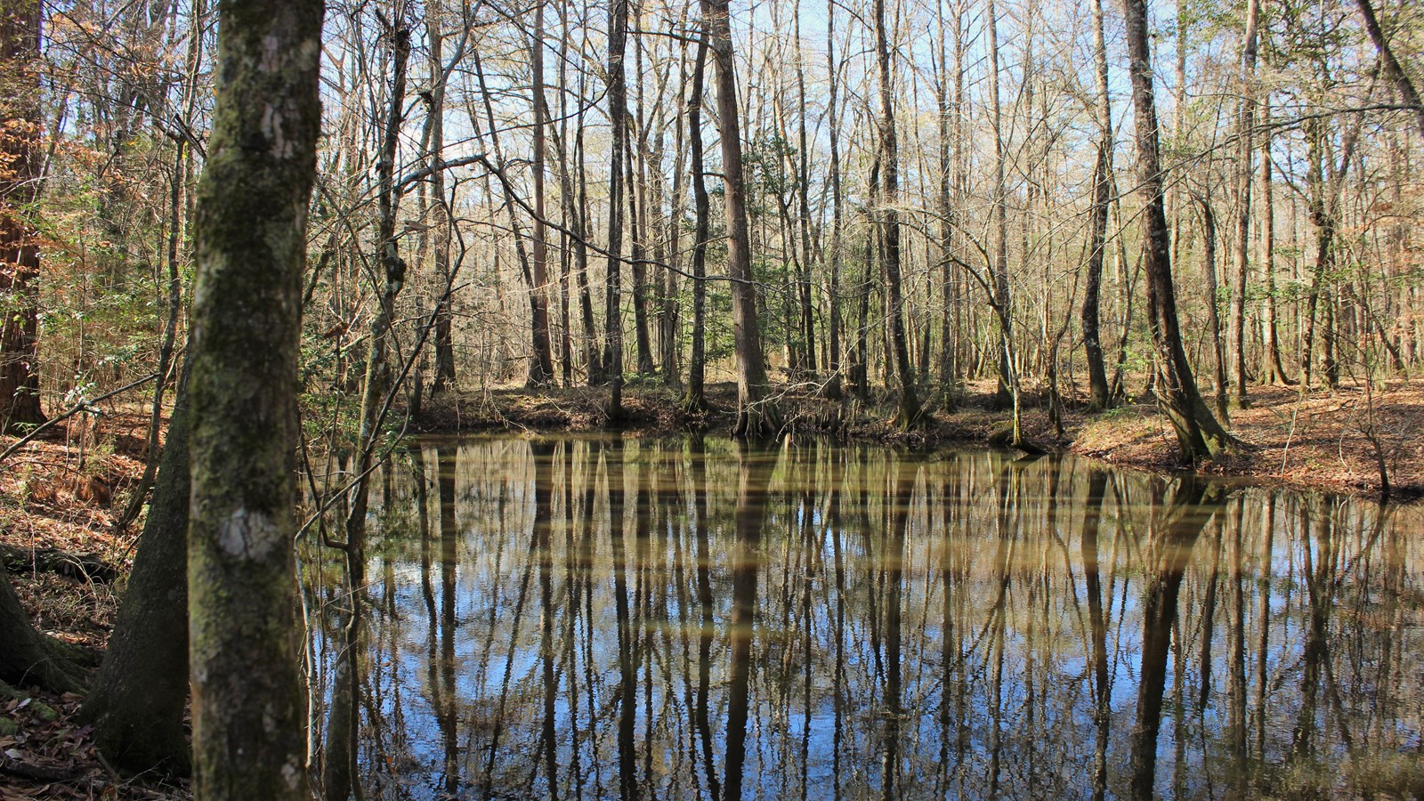 Beaver Slide Trail (U.S. National Park Service)
