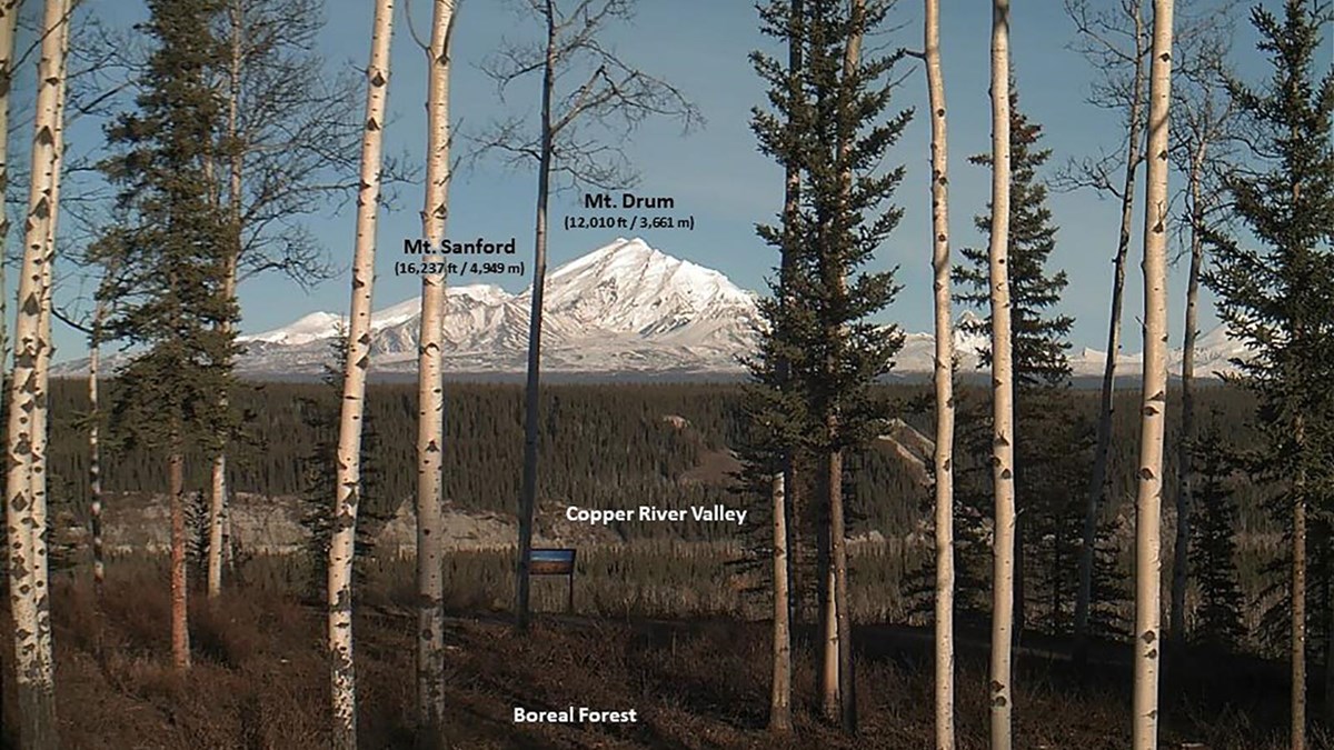 Webcams (U.S. National Park Service)