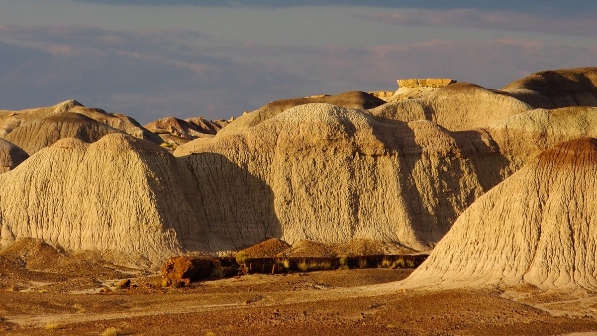 Walk Long Logs Trail (U.S. National Park Service)