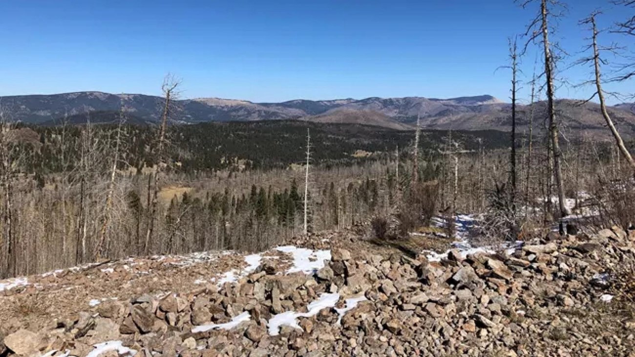 Hike the Valle Jaramillo Loop (U.S. National Park Service)