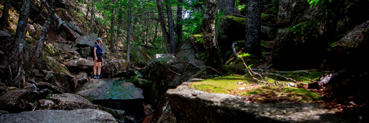 Hike Giant Slide Loop (U.S. National Park Service)