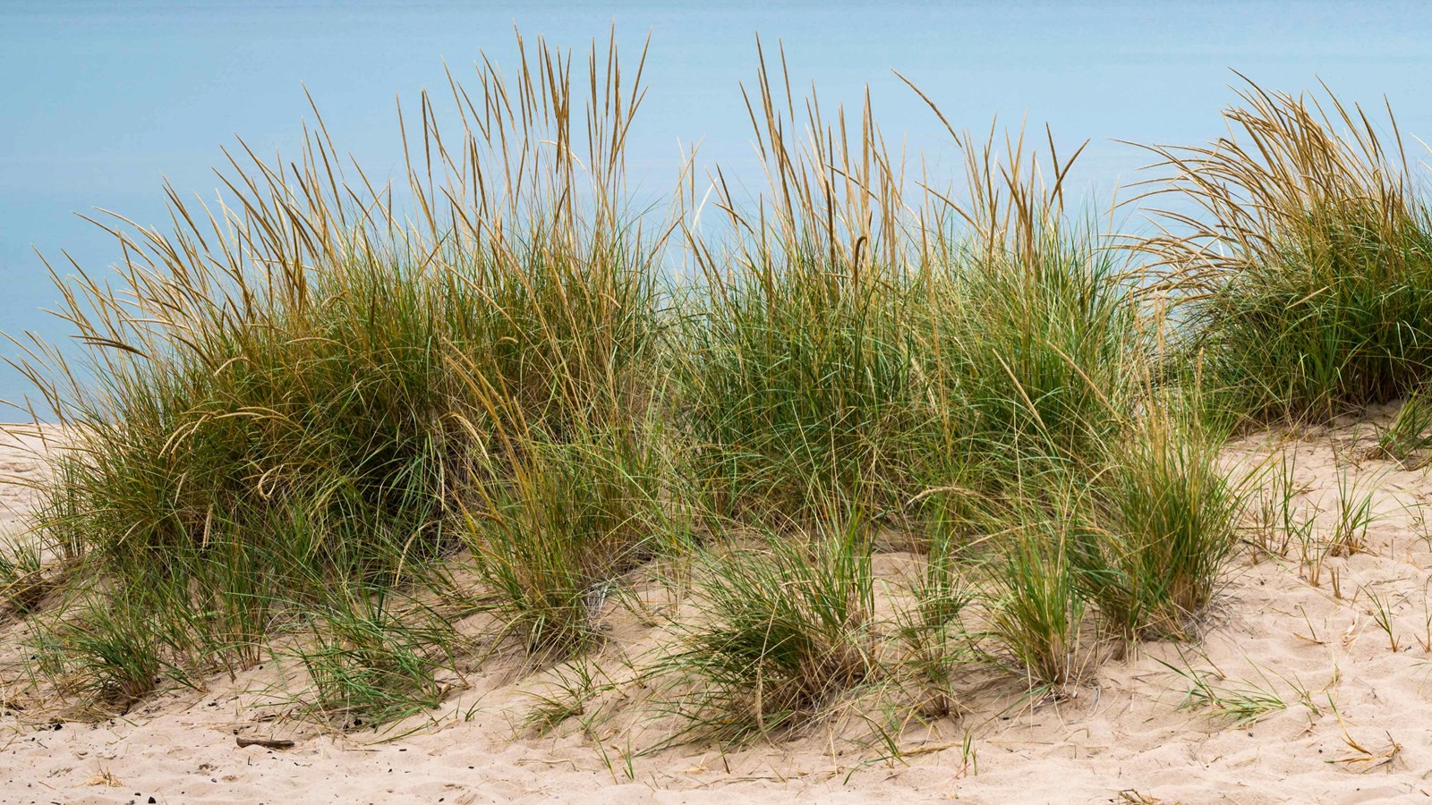 Esch Beach (U.S. National Park Service)