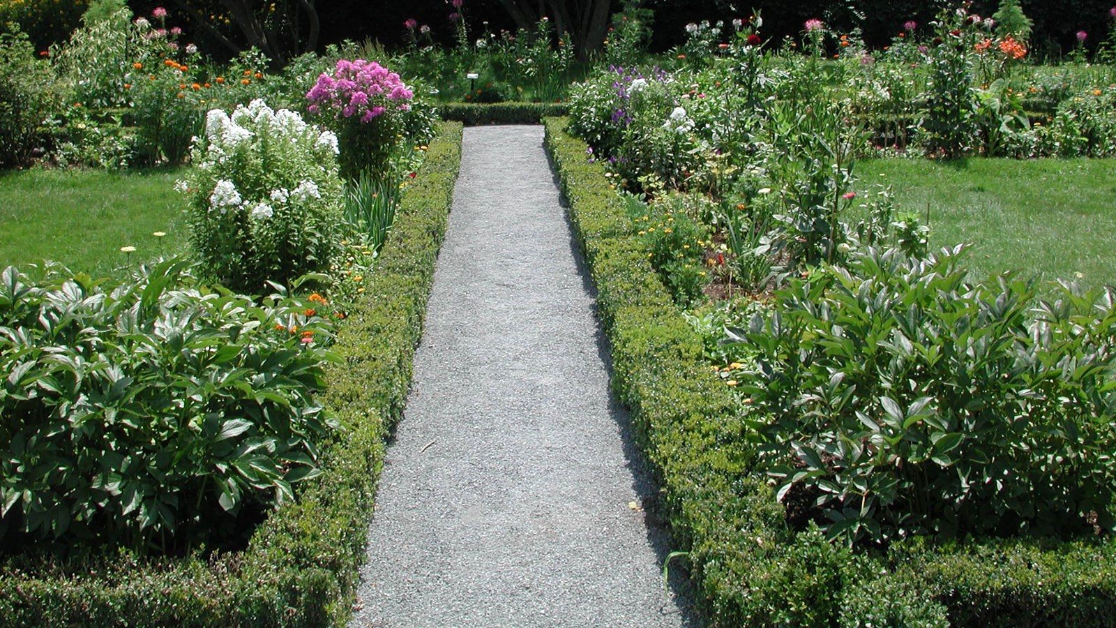 Boxwoods (U.S. National Park Service)