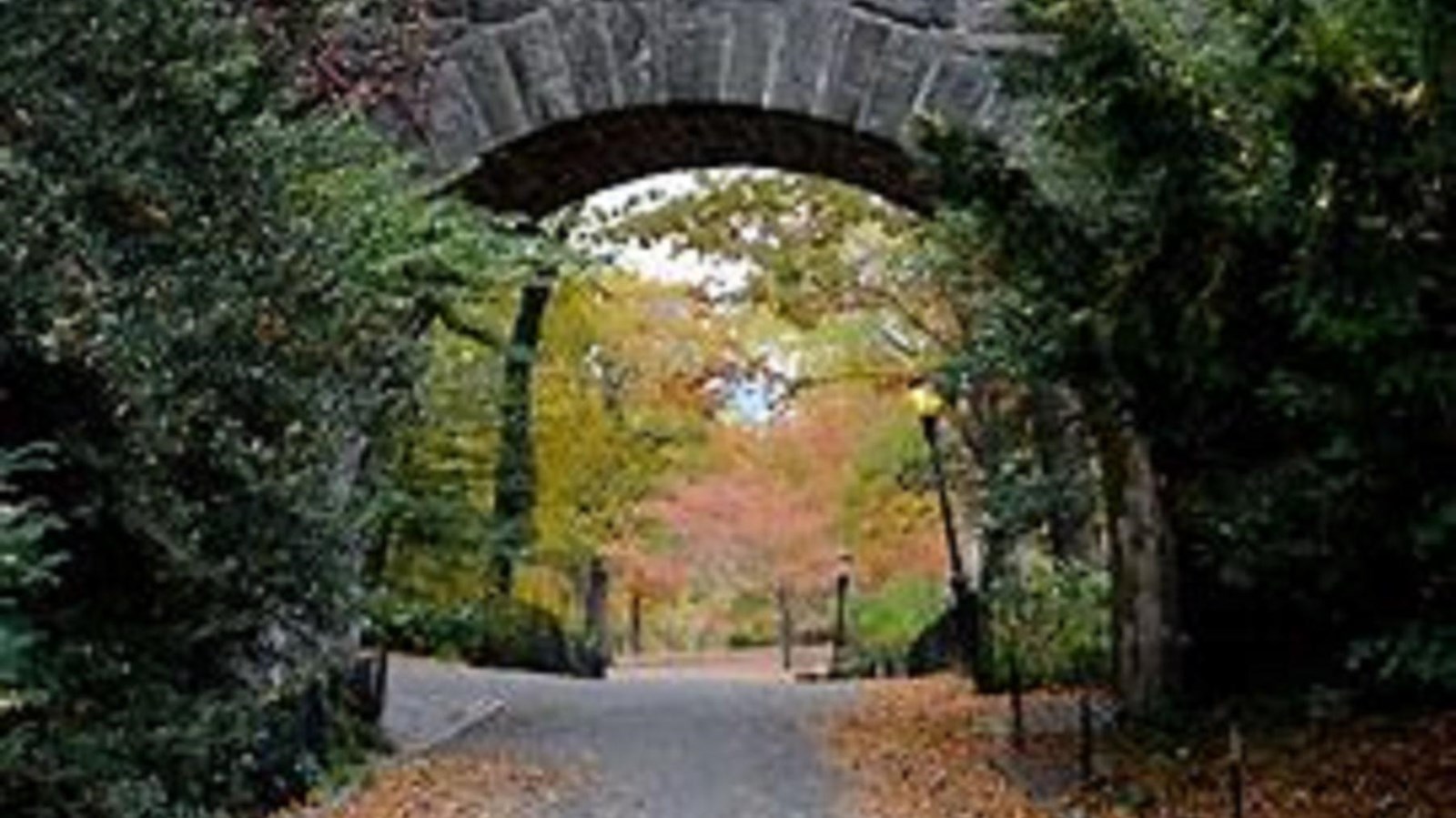Are Dogs Allowed In Fort Tryon Park