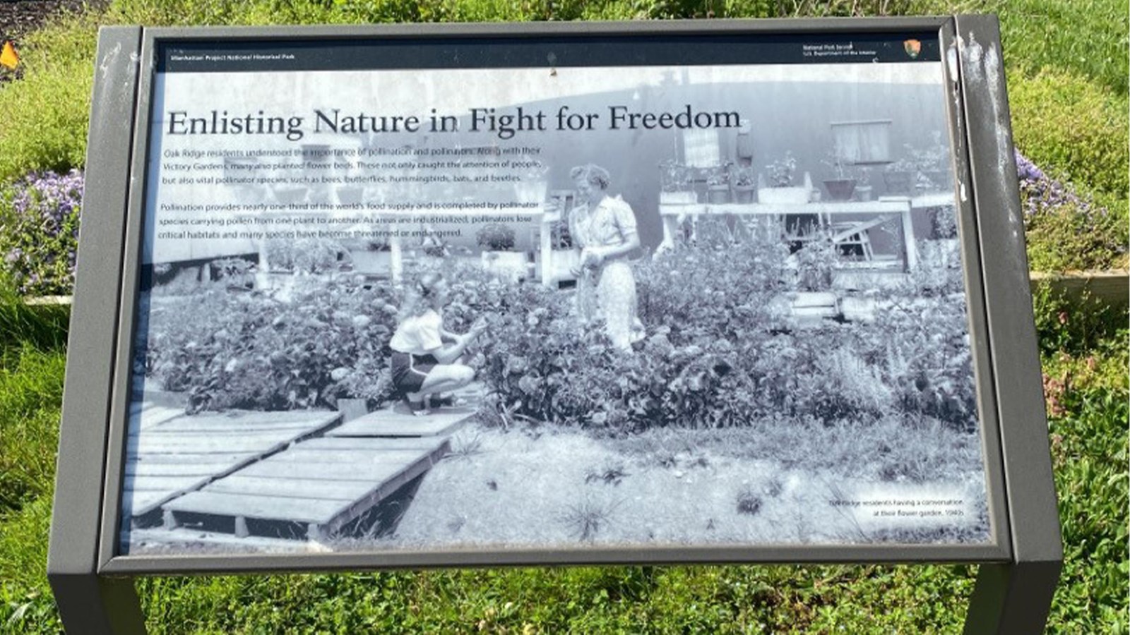 Oak Ridge Wayside: Enlisting Nature in Fight for Freedom (U.S. National ...