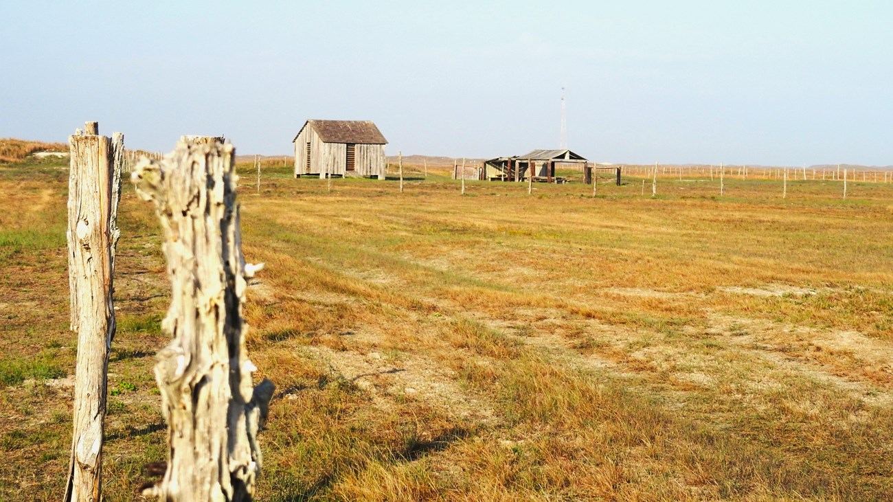 Novillo Line Camp Guided Walk (U.S. National Park Service)