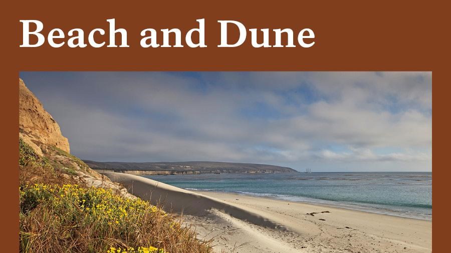 Sign: Beach and Dune (U.S. National Park Service)