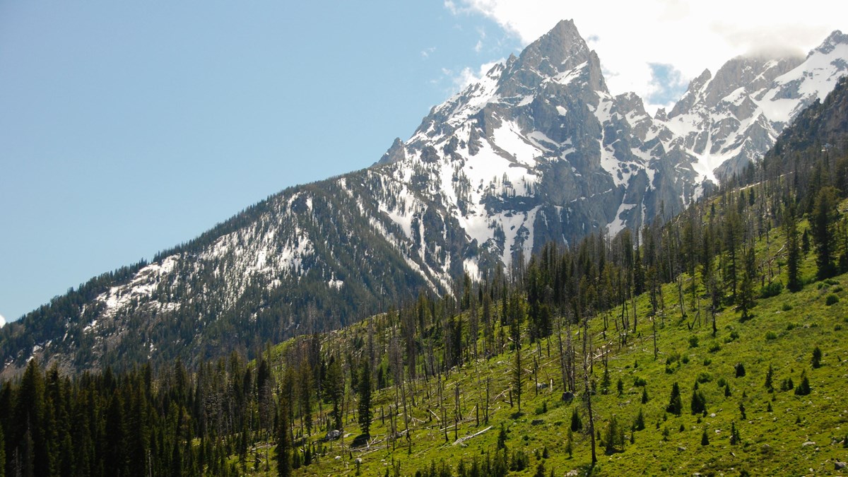 String Lake (U.S. National Park Service)