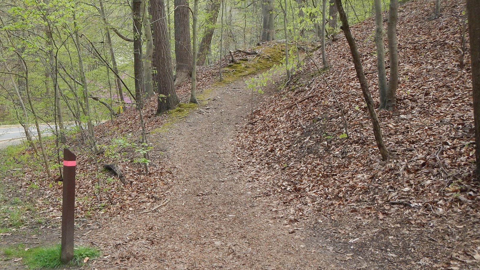 Trailhead: Cross Trail #9 at Beach Drive (U.S. National Park Service)