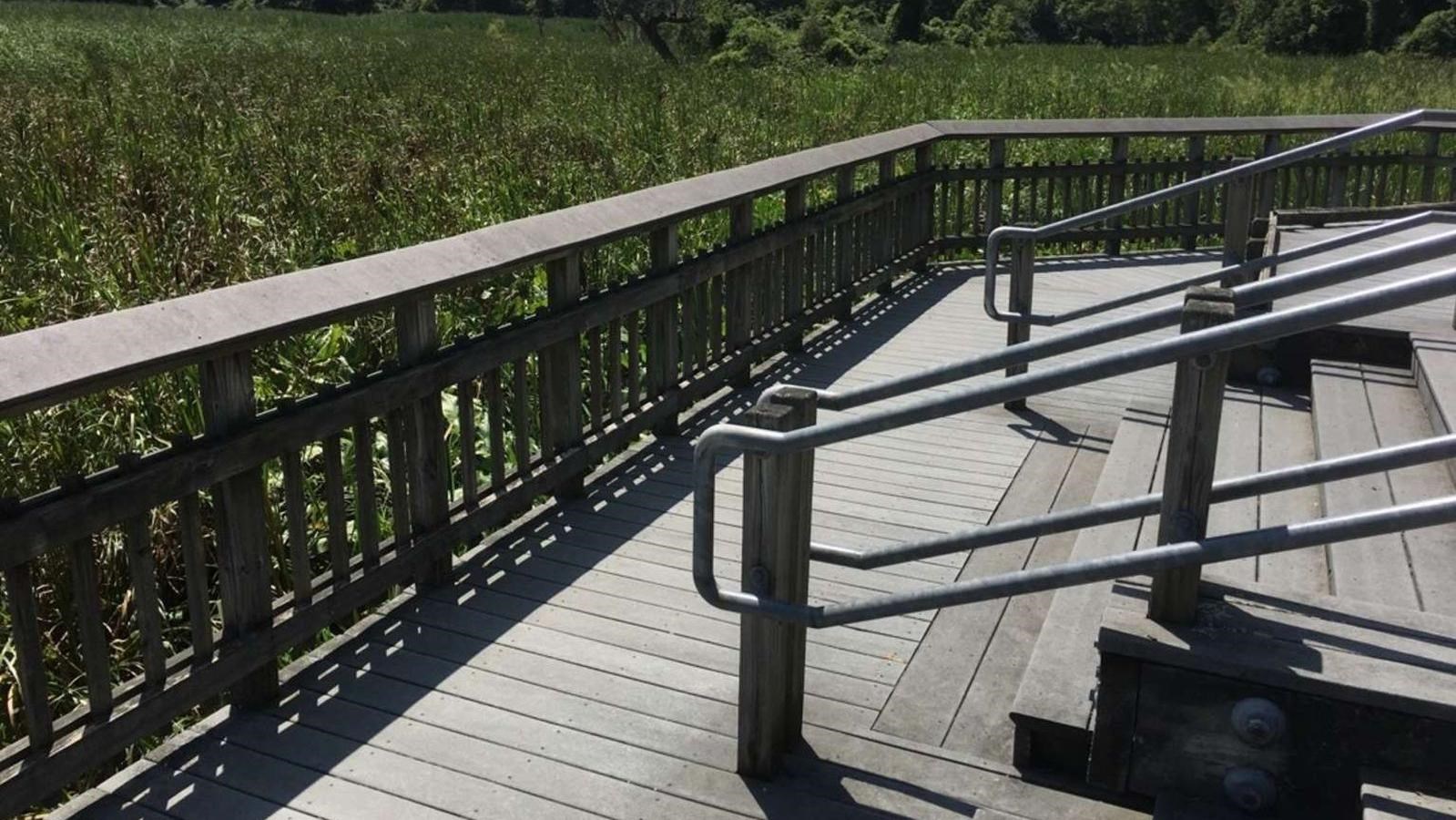 Kenilworth Viewing platform and Wayside (U.S. National Park Service)