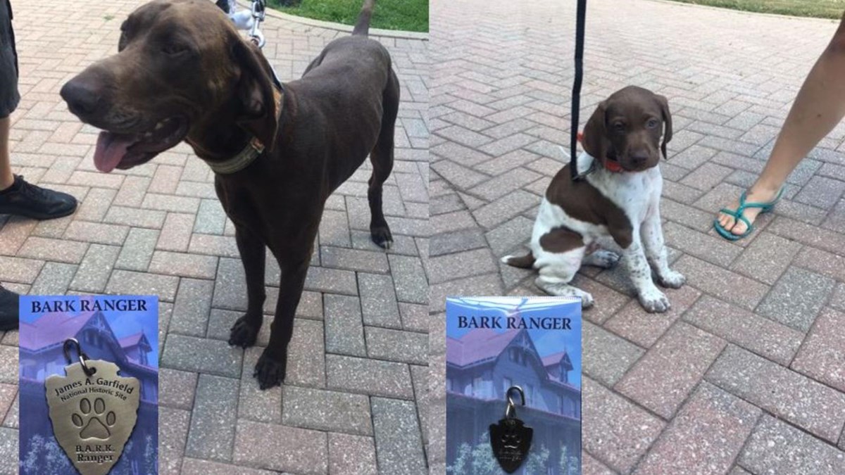Your Pet Can Become a B.A.R.K. Ranger! (U.S. National Park Service)