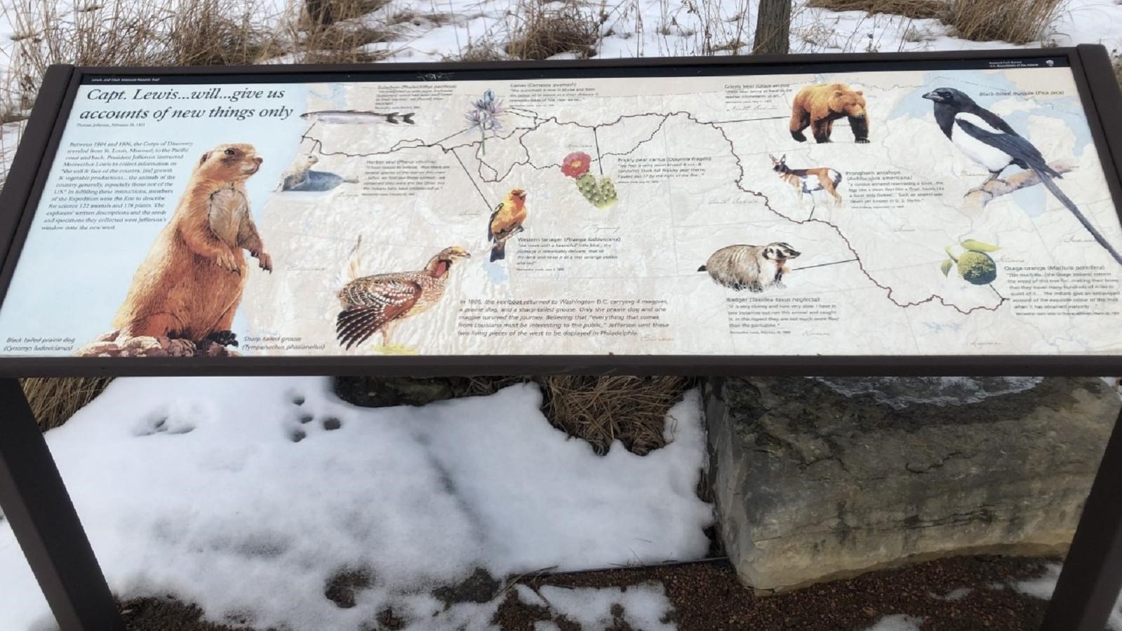 Lewis and Clark National Historic Trail Visitor Center - Captain Lewis ...