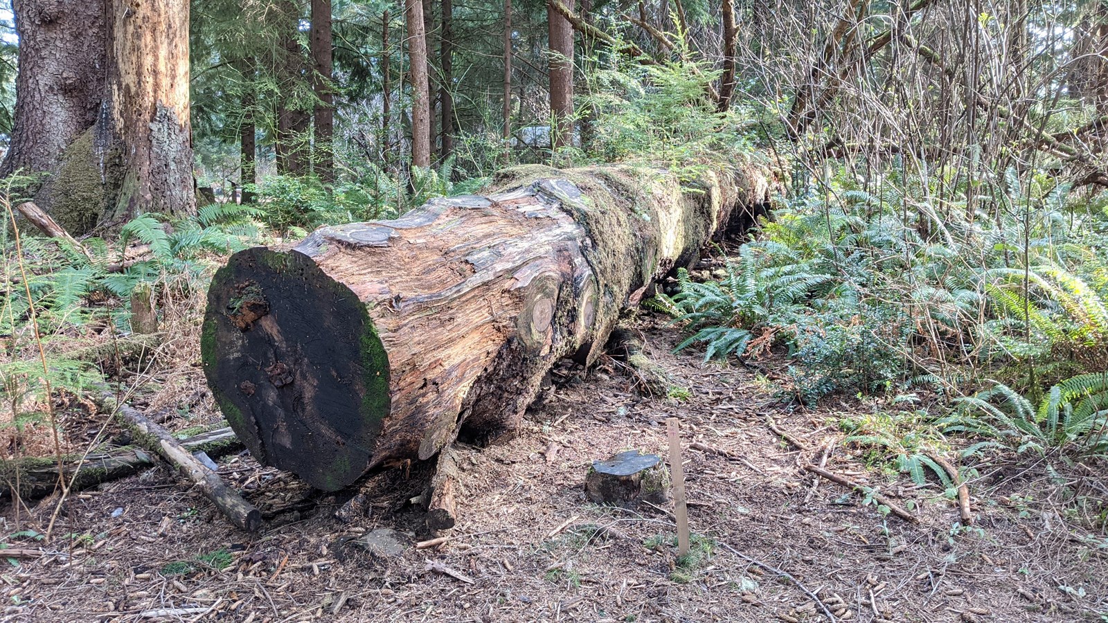 "Look at the Land" Sign (U.S. National Park Service)