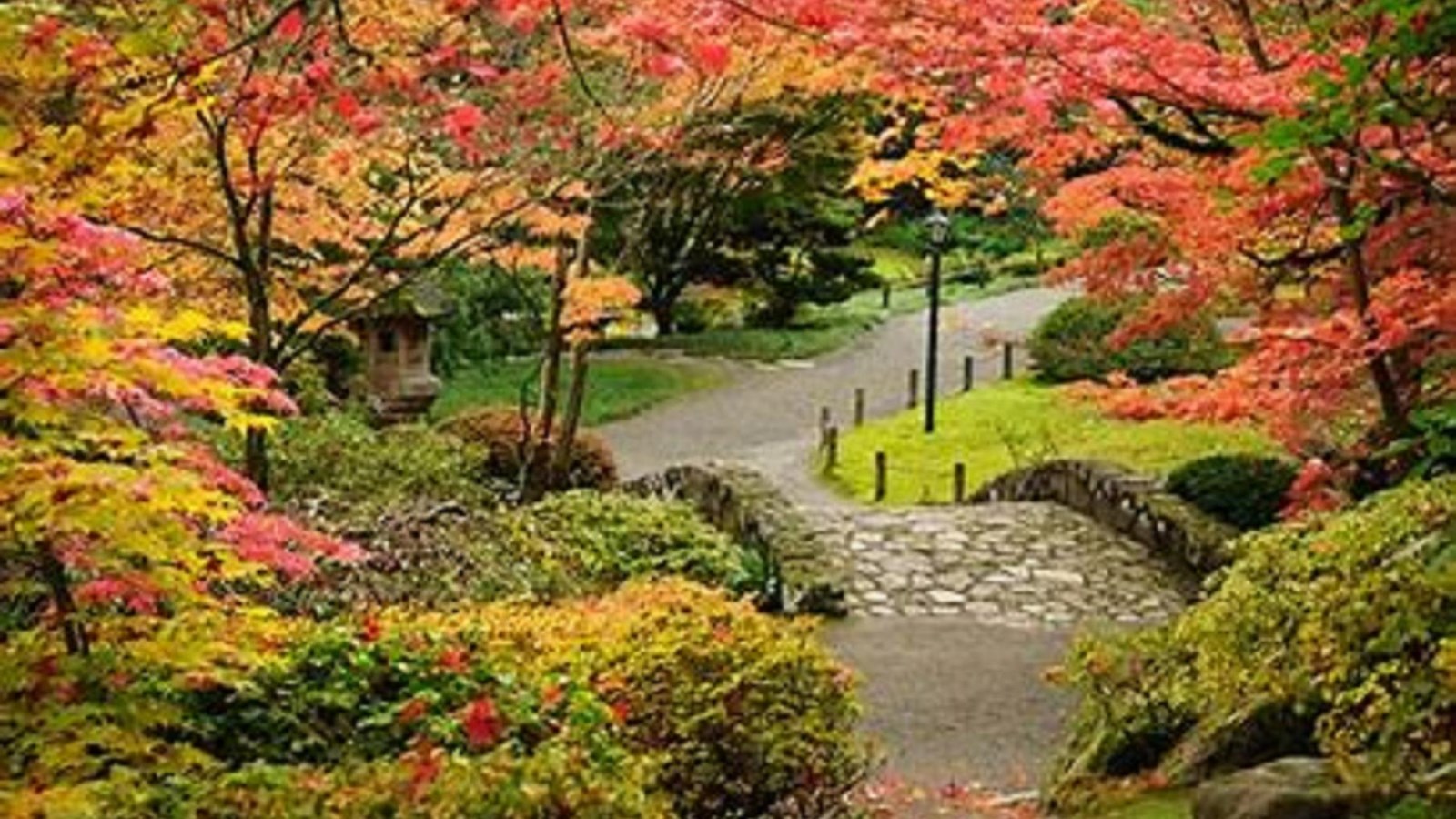 Seattle Arboretum (U.S. National Park Service)