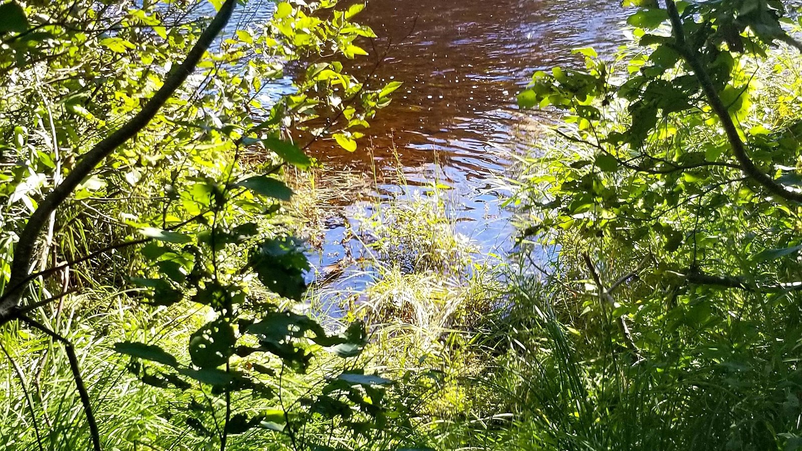 Seboeis River Access (U.S. National Park Service)