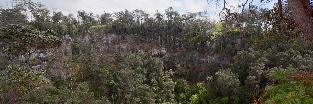 Hike to a Forested Pit Crater (U.S. National Park Service)