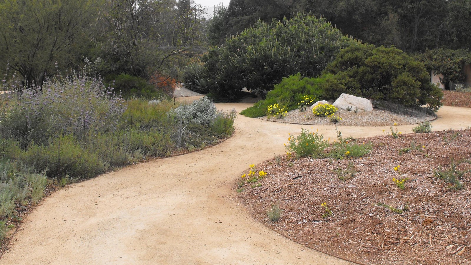 Rancho Santa Ana Botanic Gardens (U.S. National Park Service)