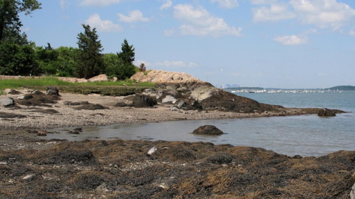 Langlee Island (U.S. National Park Service)