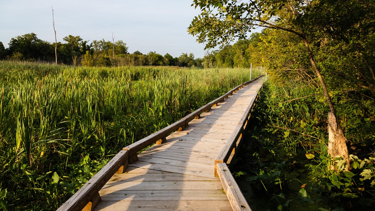 Walk the marshes at Dutch Gap Conservation Area (U.S. National Park ...