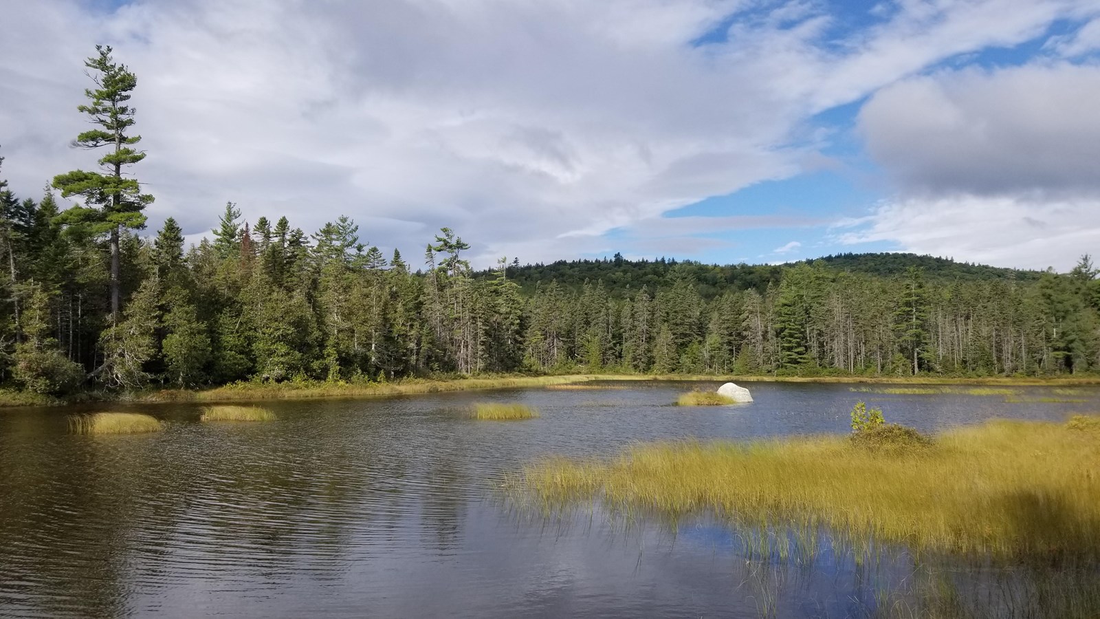 Deasey Pond (U.S. National Park Service)