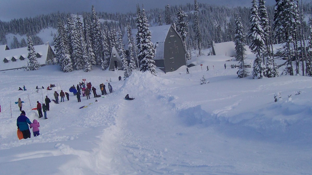 Enjoy a Winter Wonderland at Paradise (U.S. National Park Service)
