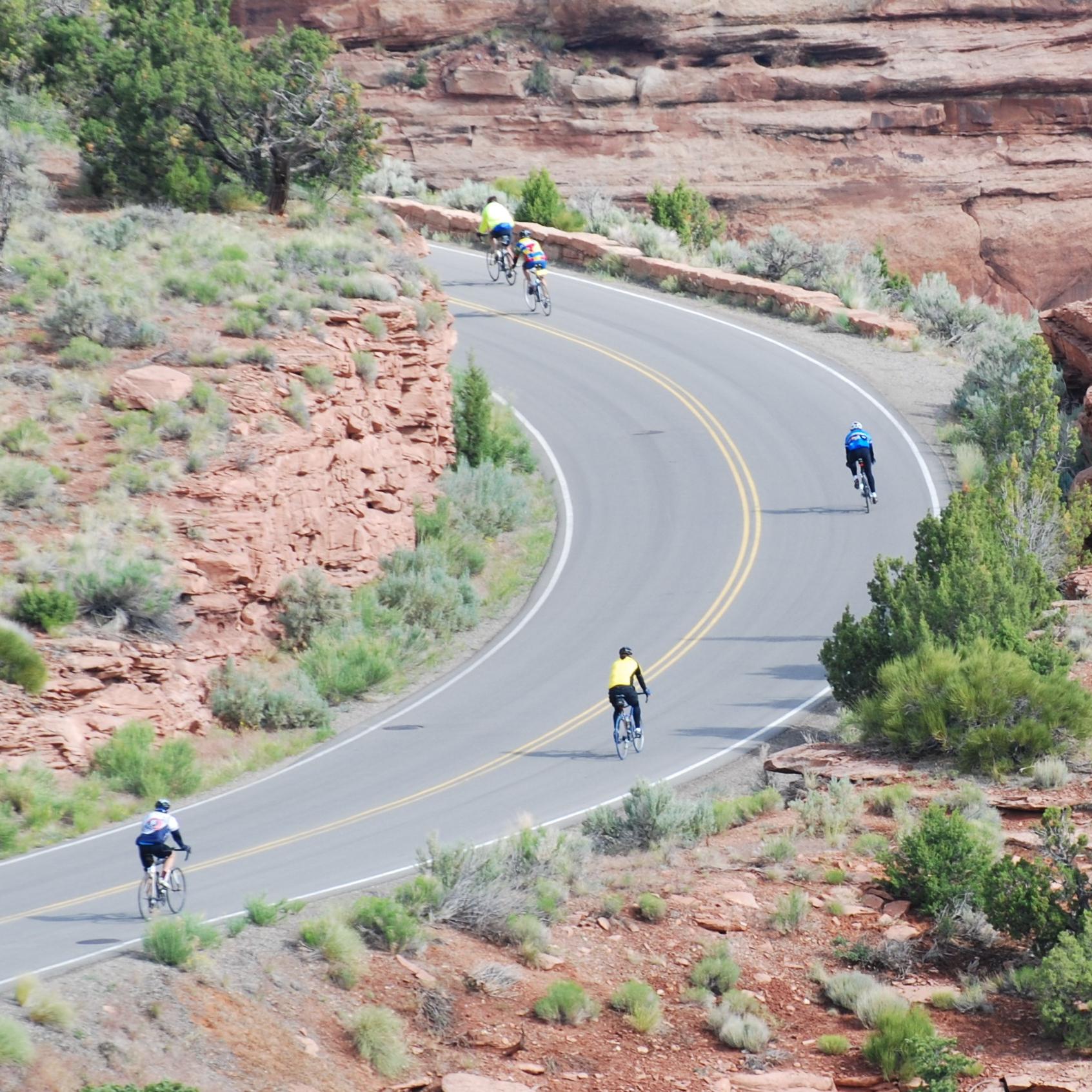 Discover the Thrills of Road Biking on Rim Rock Drive at Colorado ...