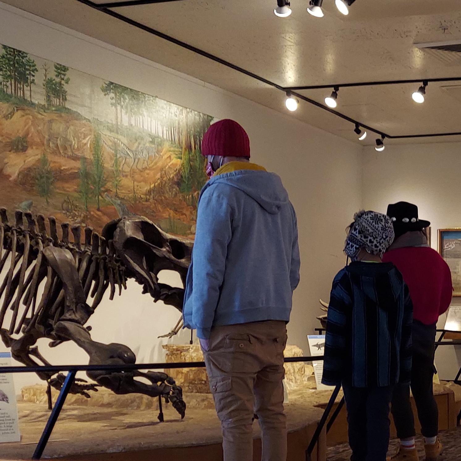 Discover the Prehistoric World at Rainbow Forest Museum – MustDoThings.com