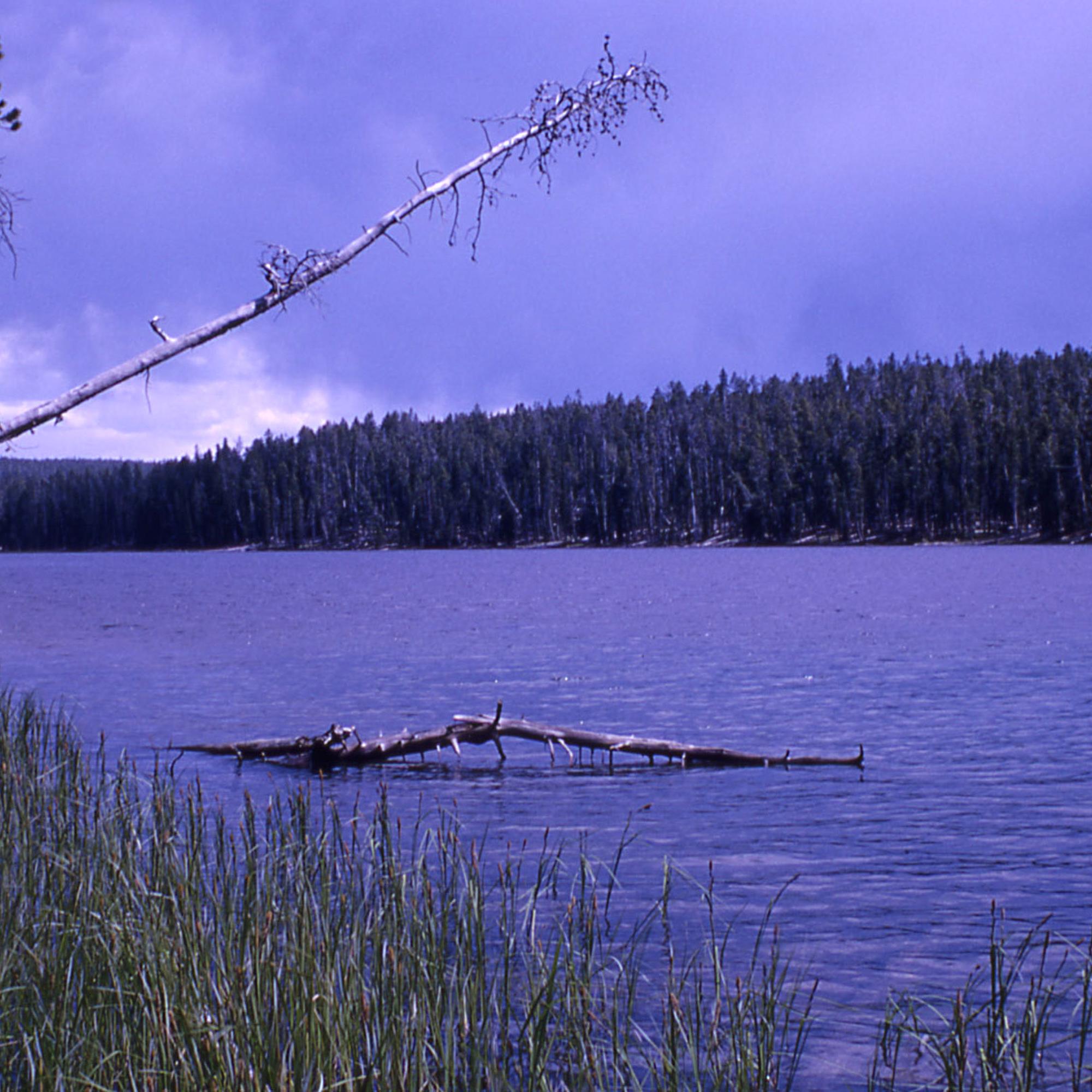 Exploring the Howard Eaton Trail in Yellowstone’s Canyon Area ...