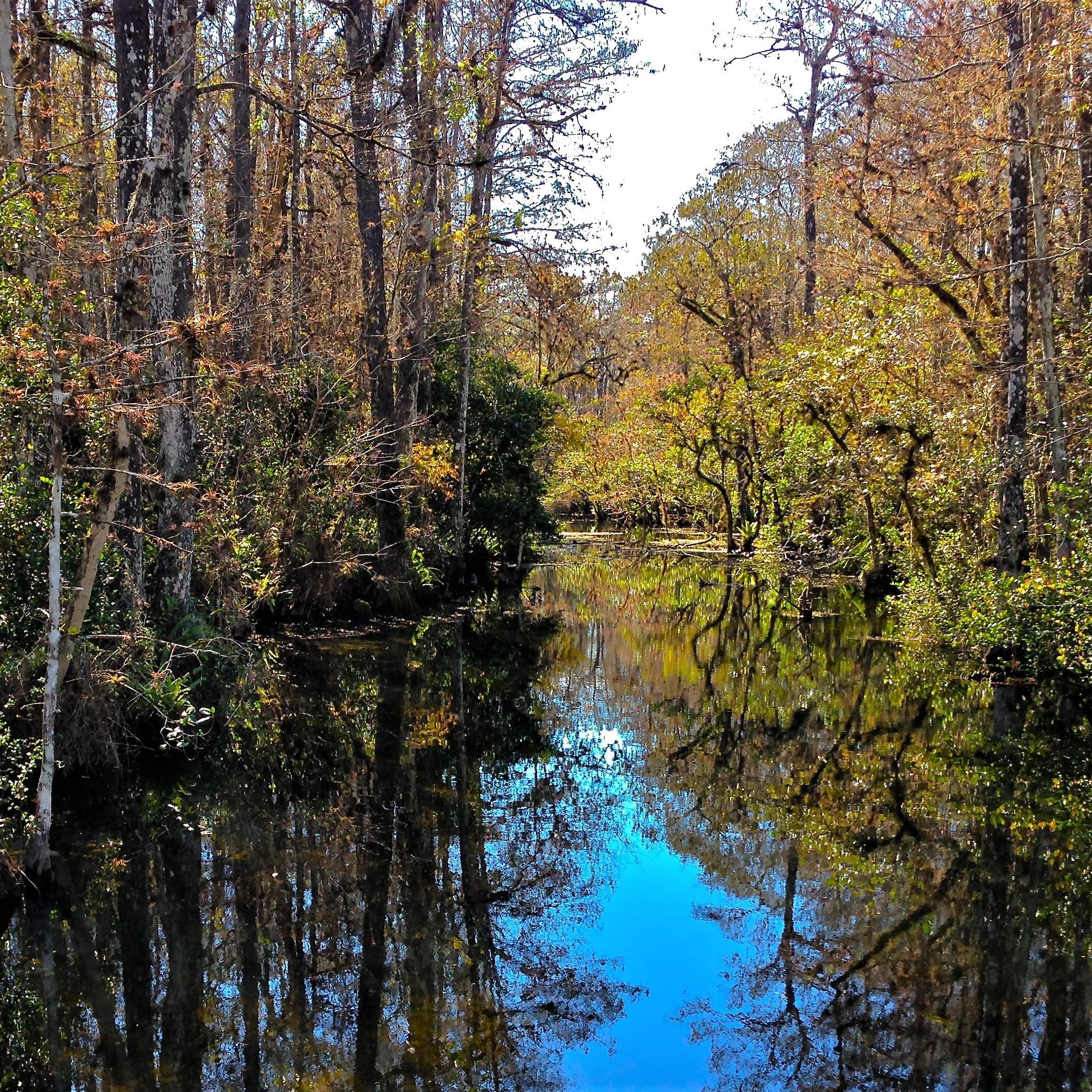 Journey Through Wilderness: The Loop Road Scenic Drive – MustDoThings.com