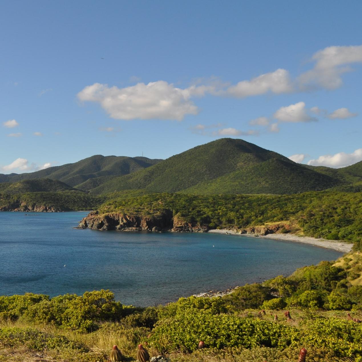 Discover the Wonders of Salt Pond Bay and Ram Head Trails ...