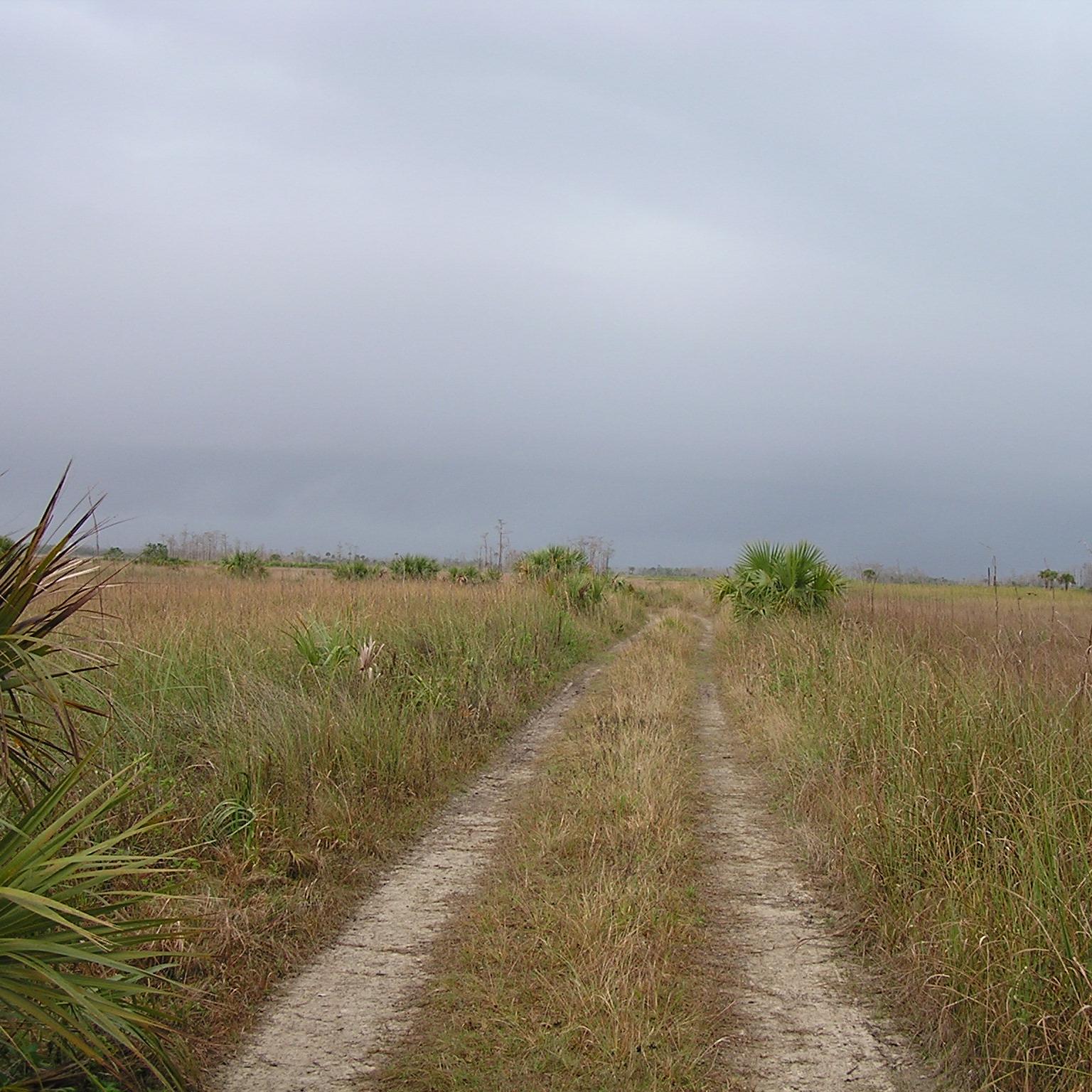 Discovering the Serenity and Wildlife of Fire Prairie Trail ...