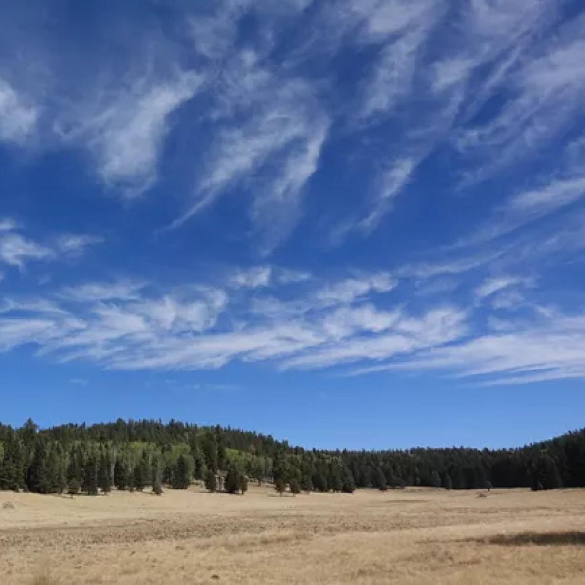 Hike the Northwest Corner Trail: A Secluded Journey through Valles ...