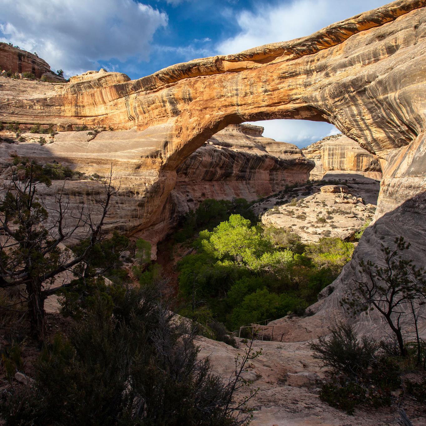 Hike to Sipapu Bridge: An Adventure Through Eons – MustDoThings.com