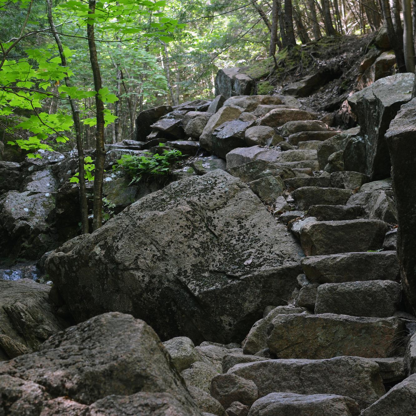 Hike the Gorge Path: A Scenic Adventure through Acadia National Park ...