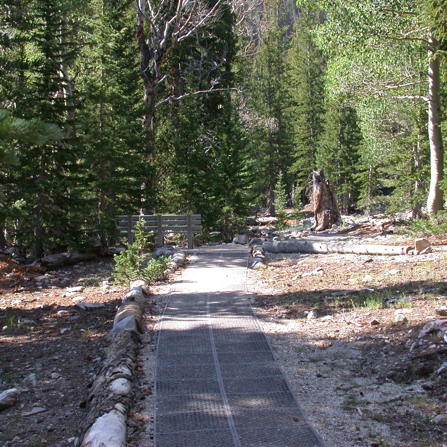 Hike the ADA Sky Island Forest Trail at Great Basin National Park ...