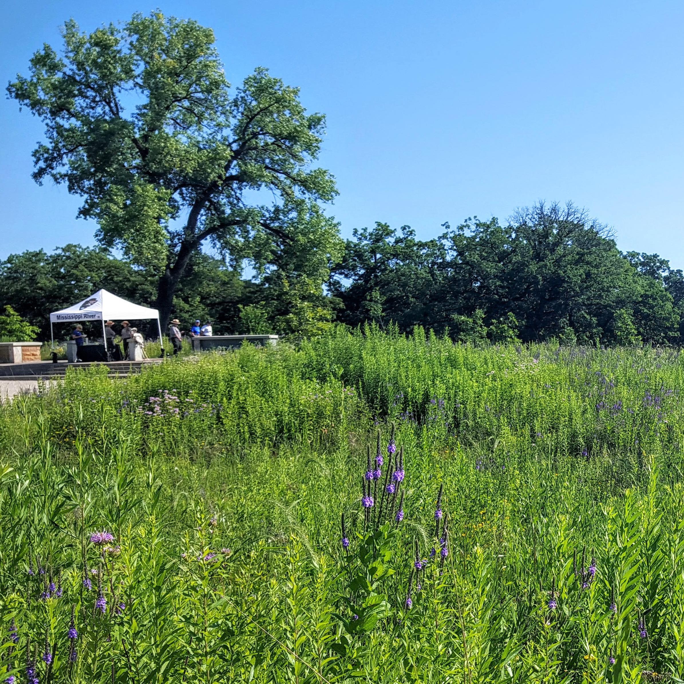 Discover the Natural and Historical Treasures at Coldwater Spring ...